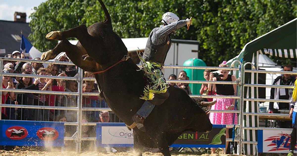 Il rodeo di Stefano Baldon: adrenalina pura | Valsassina Country Festival